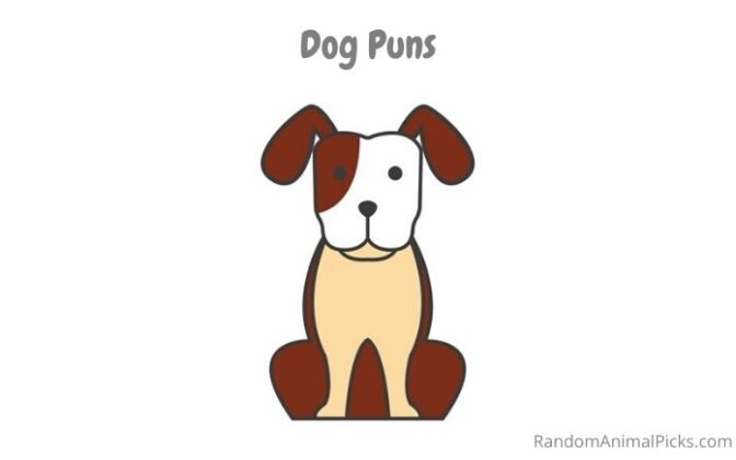 Dog Puns: 150+ Pawsome Pet Pun Ideas for Dog Lovers (UPDATED 2022 ...